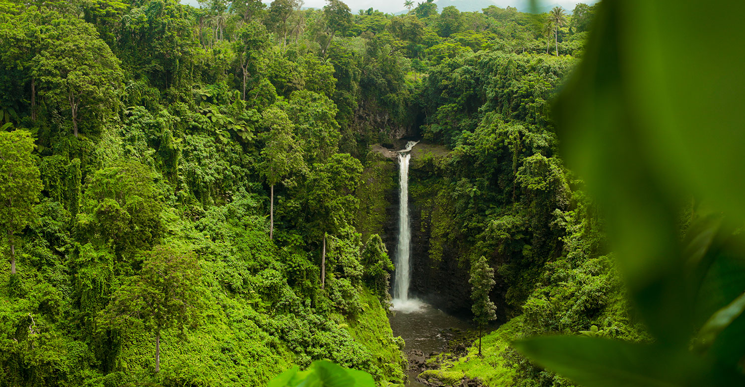 Everything You Need to Know About Samoa - Entire Travel Group