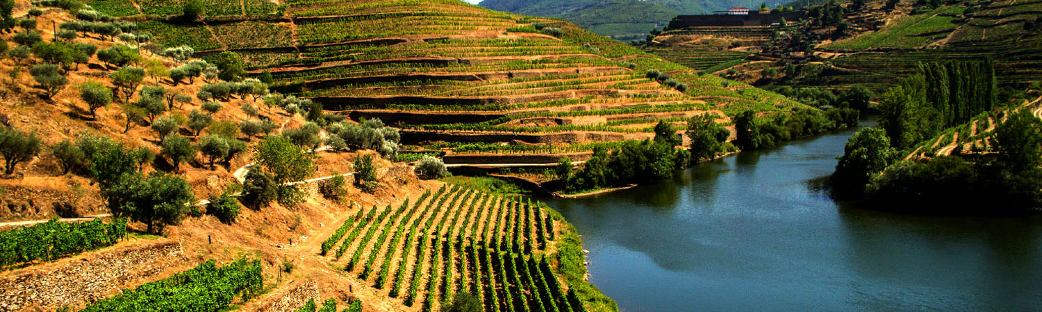 Portugal - Northern Portugal | Entire Travel Group