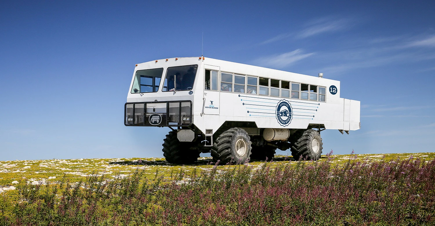 Canada's Big Five Safari | Entire Travel Group